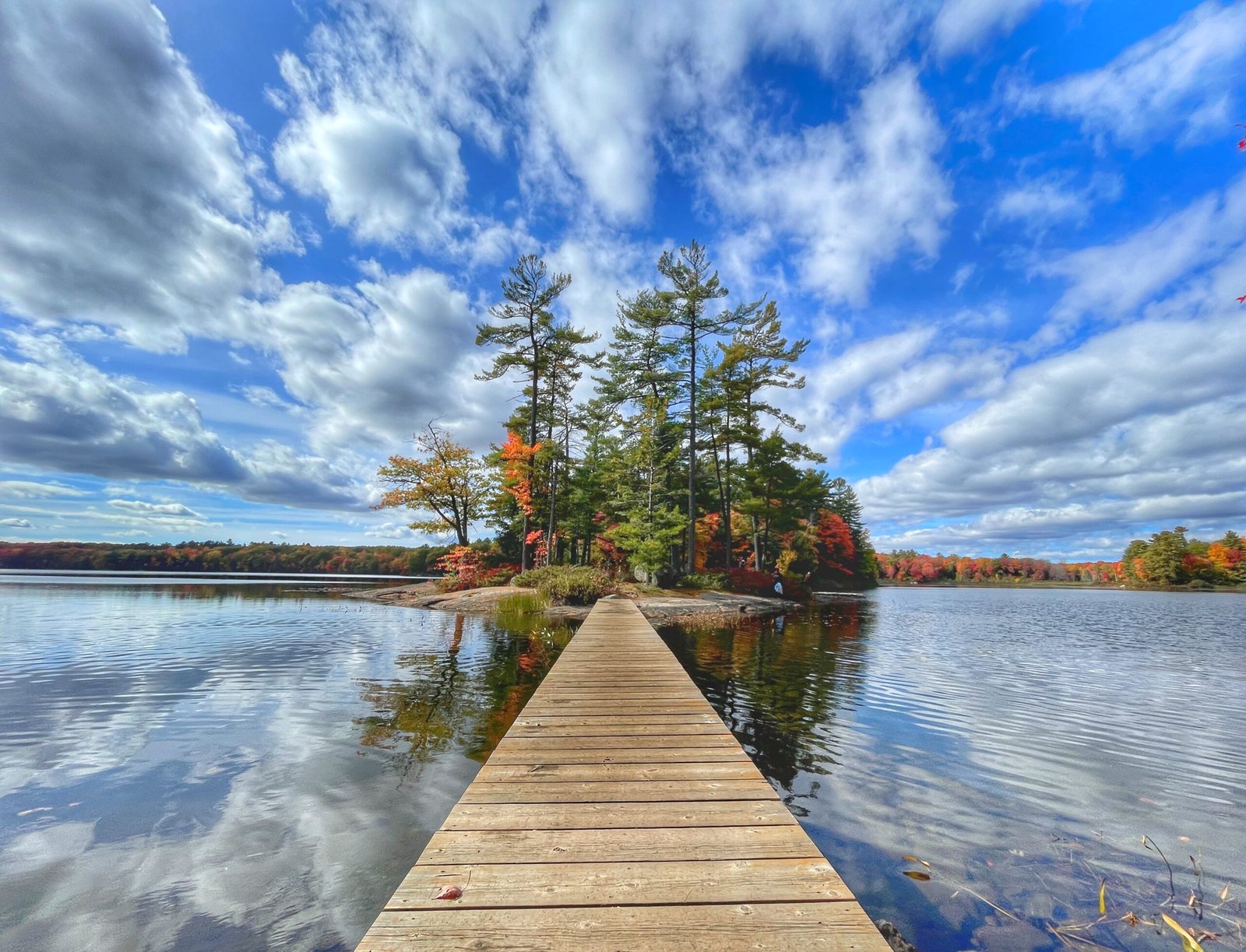 Day Tours from Toronto for Solo Travelers | Travelling Chicken